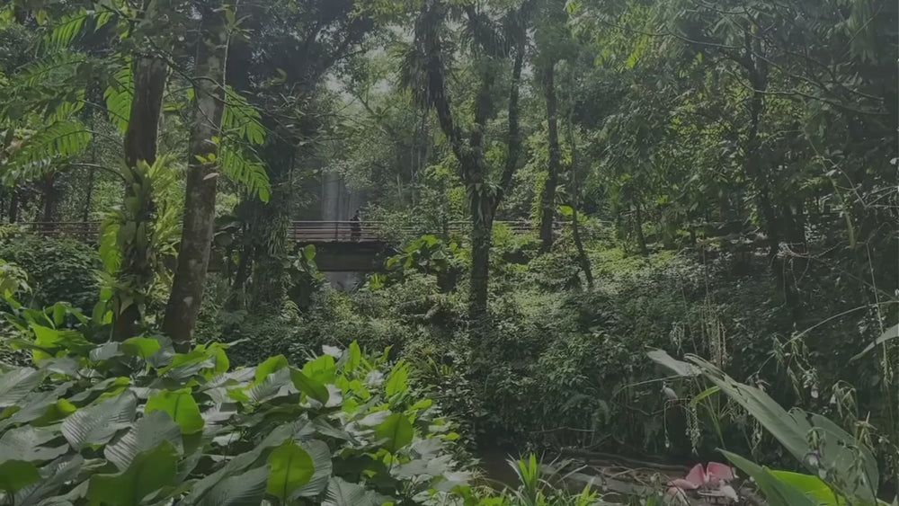 Strait Lights | Everyday Luxury Singapore Candles, Wares & Gifts